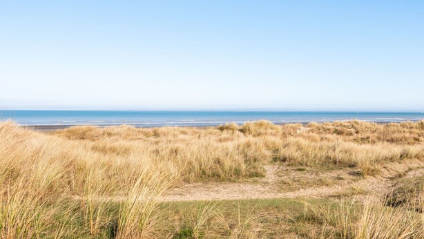 Uma praia com dunas gramadas e céu azul límpido.
