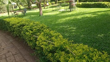 Jardim