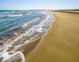 Casa | Vista da propriedade