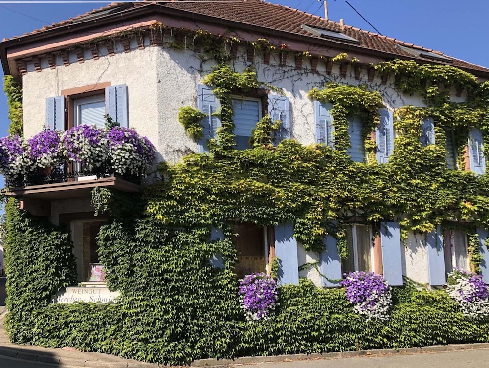 Comfortable Accommodation In Middle Of A Winery - Vogtsburg im Kaiserstuhl