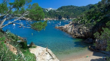 Tenda | Vista do alojamento