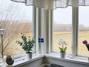 Uma janela com vista para um campo, uma pequena bandeira e duas plantas em vasos.