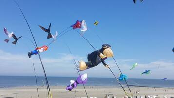 Uma praia com vários kites voando no céu.