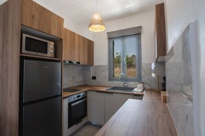 Duplex, vista para a praia | Cozinha privada | Geladeira grande, micro-ondas, fogão, cooktop
