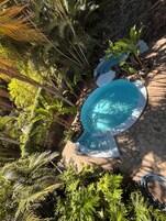 Uma piscina circular com borda de pedra, rodeada por vegetação exuberante e um muro de pedra.