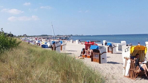 Uma praia com fileiras de cadeiras de praia numeradas e guarda-sóis, um píer ao fundo, e um céu claro.