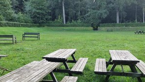 Uma área ao ar livre com gramado, mesas para piquenique e bancos.