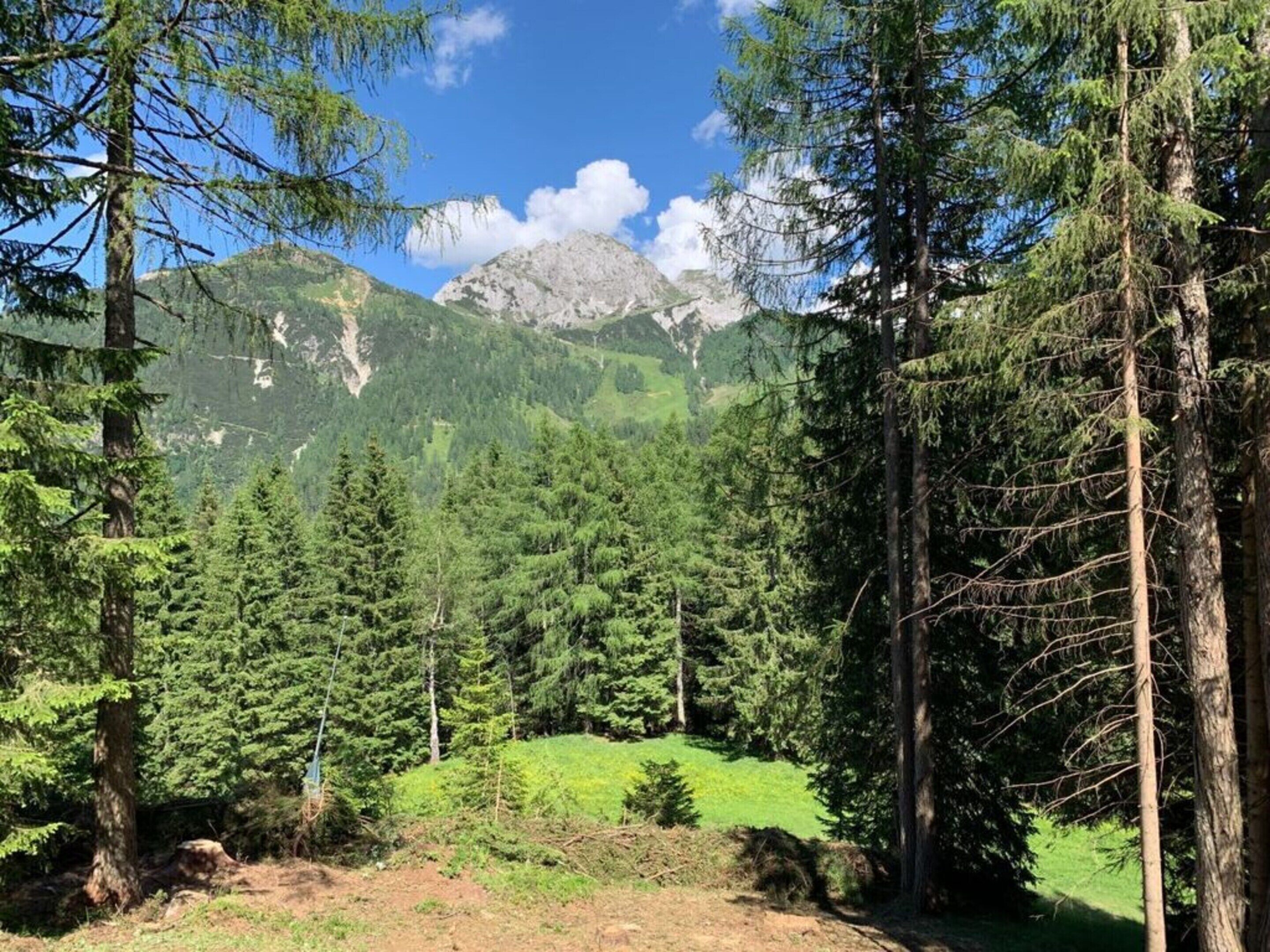 Paisagem montanhosa arborizada com densas árvores de coníferas e um pico rochoso imponente ao fundo.