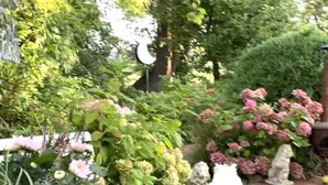 Um jardim com uma mesa de madeira e uma tigela de peras.