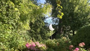 Uma trilha no jardim com hortênsias e uma estátua.