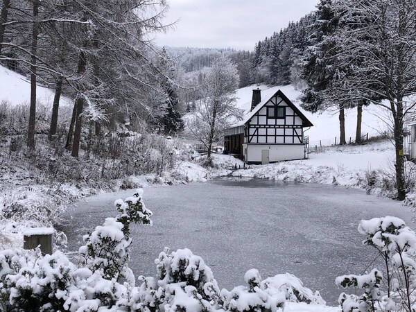 Ruckzugsort Am Teich In Winterberg - Bad Berleburg