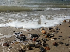 Uma praia com ondas, pedras e conchas.