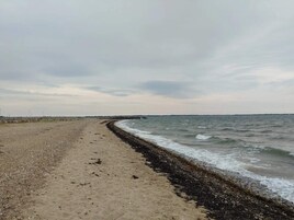 Uma praia com uma extensa faixa de areia e algas na orla.