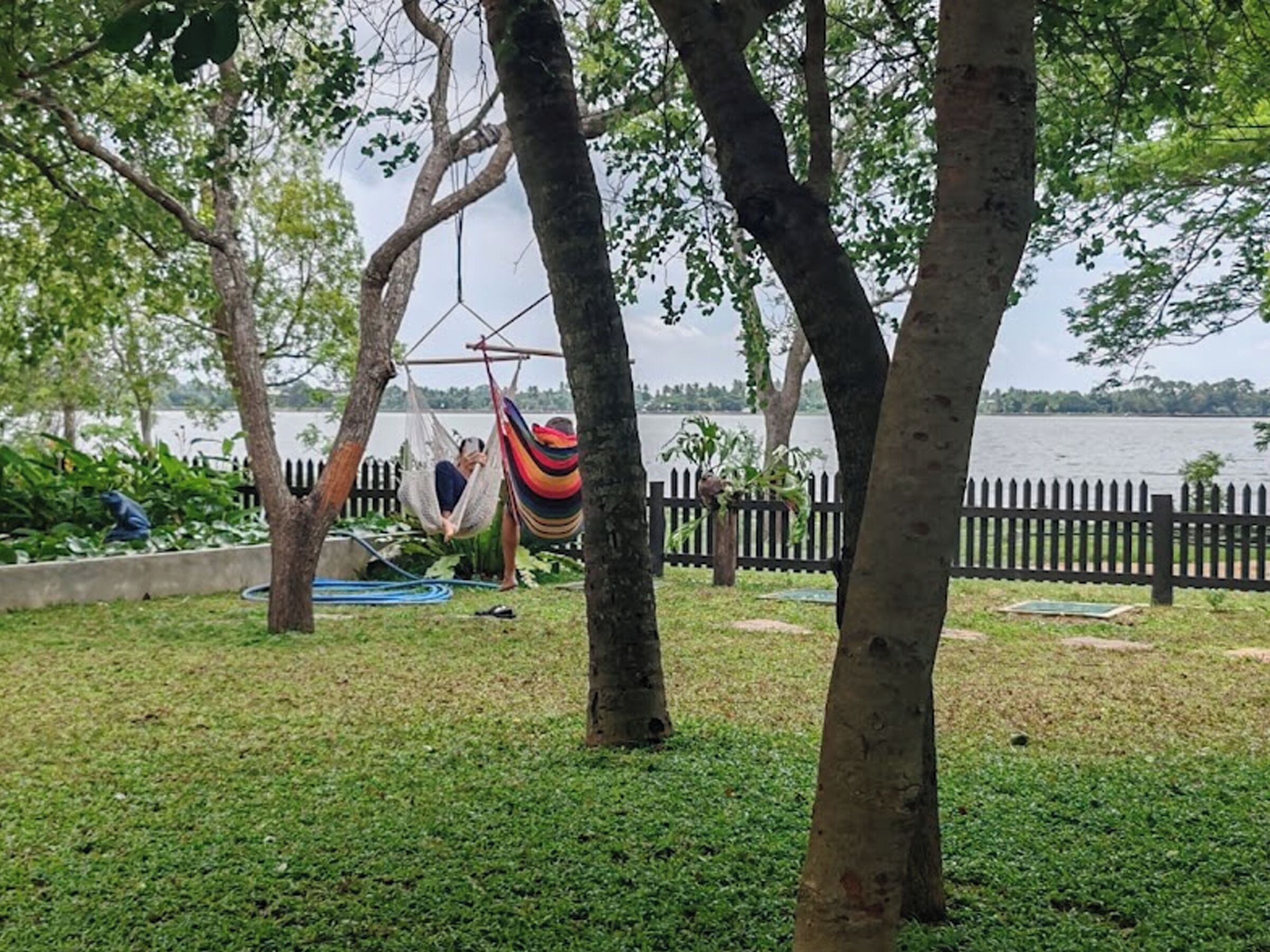 Uma rede pendurada entre árvores numa área gramada, com um lago ao fundo.