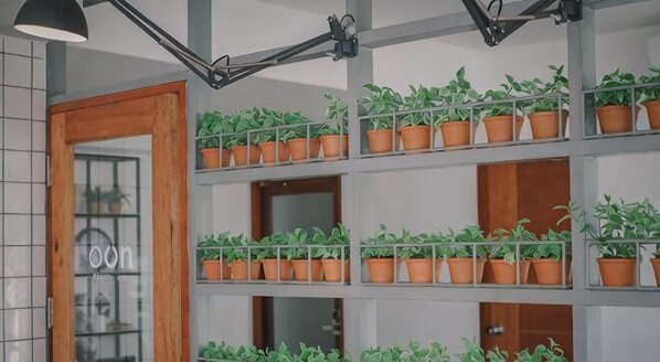 Quarto com parede azulejada, porta de madeira e prateleiras com plantas em vasos.