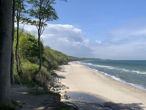 Uma praia costeira com areal arenoso, árvores e céu claro.