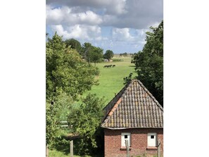 Paisagem rural com uma casa de tijolos, um campo gramado e um rebanho de cavalos ao longe.
