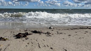 Uma praia com ondas, algas marinhas e um navio ao longe.
