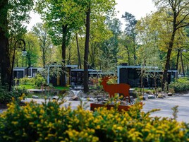 Bangalô | Área da propriedade