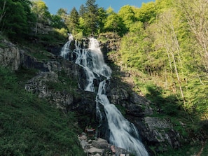 Uma cascata desce por um penhasco rochoso, rodeada por vegetaç ão exuberante.
