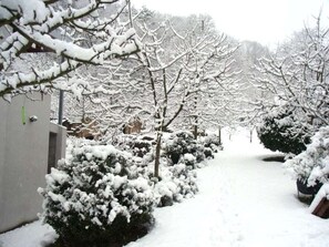 Uma trilha coberta de neve, ladeada por arbustos e árvores carregados de neve, conduz a um edifício com fachada branca.