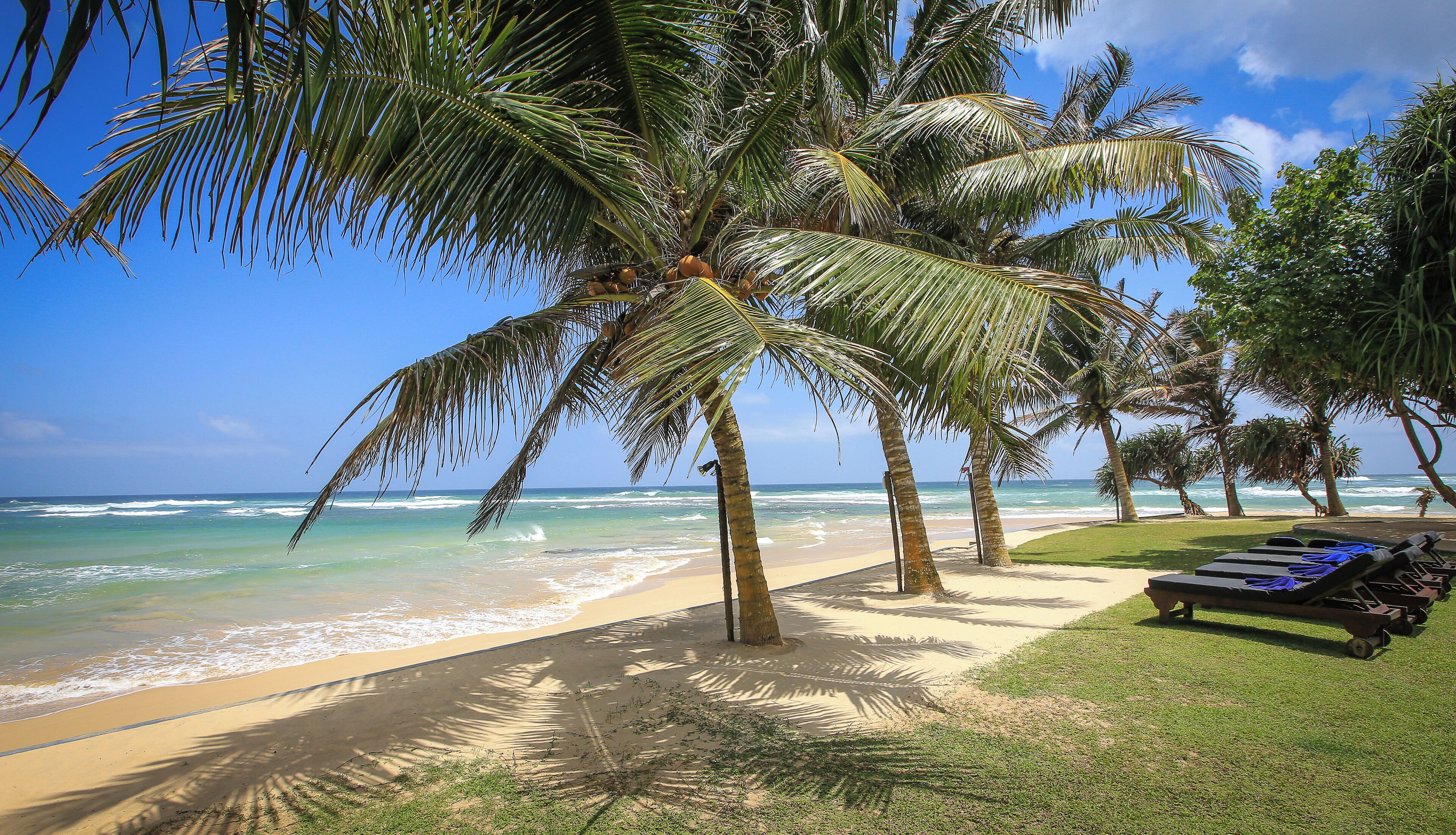 Na praia, espreguiçadeiras, guarda-sóis de praia, toalhas de praia 