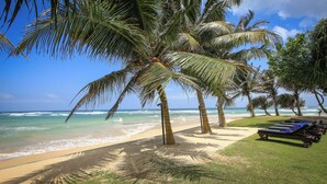 Uma praia com palmeiras, areal dourado e céu azul límpido.