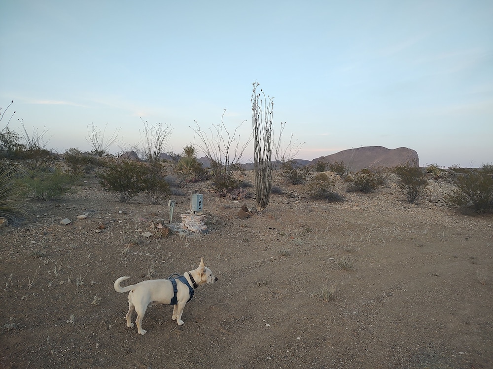 Longhorn Ranch Motel - RV Park with Power and No Sewer - Study Butte | Vrbo