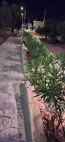 Jardim