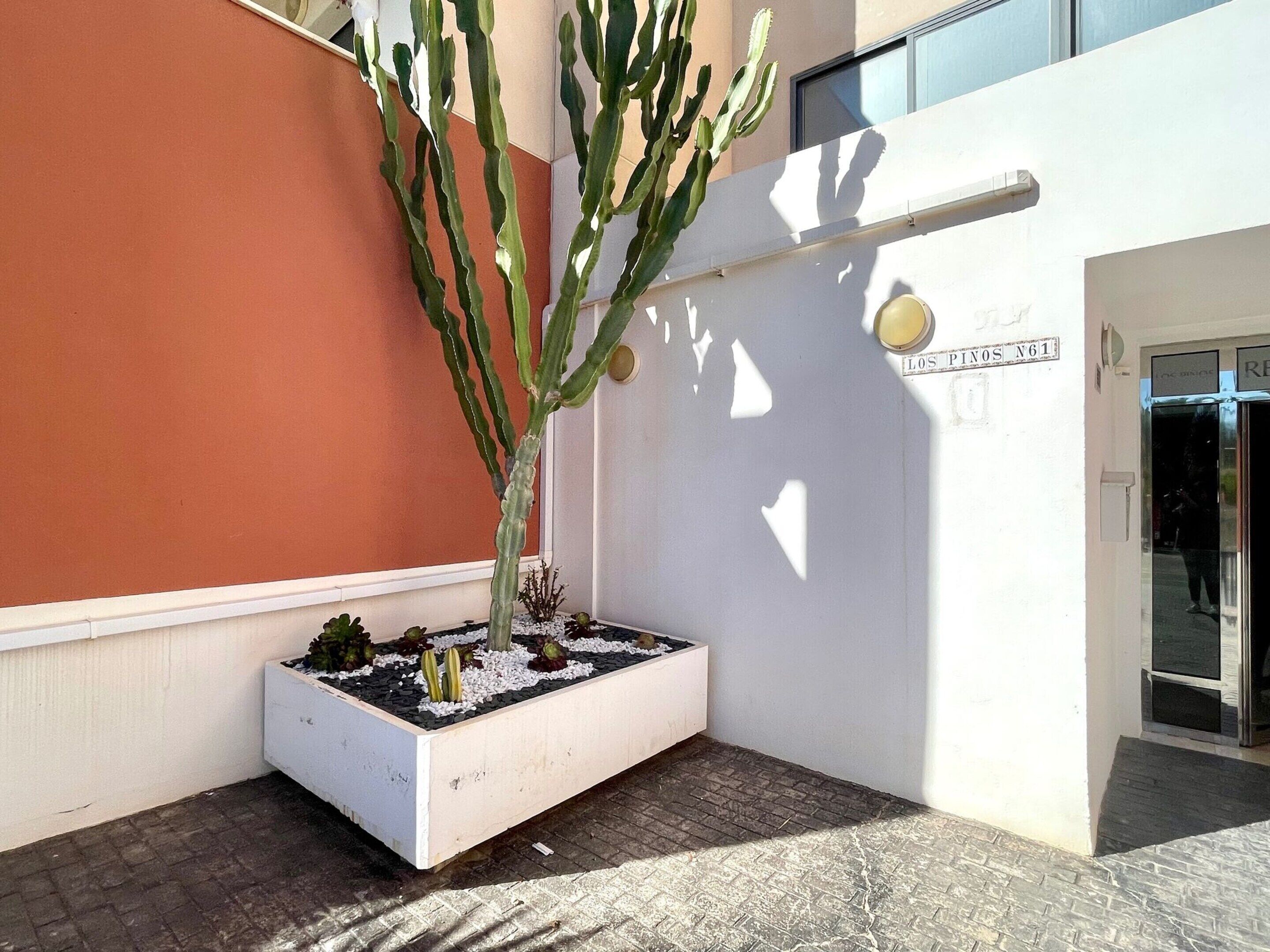 Apartamento | Recepção