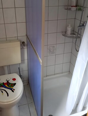 Casa de banho com sanita, chuveiro e lavatório.
