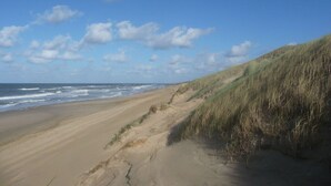 Uma praia com areal arenoso e dunas gramadas.