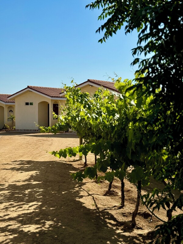 Cabañas Colibri - Baja California