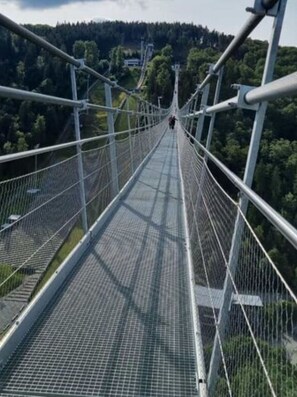 Uma ponte suspensa com passarelas de malha metálica, rodeada por vegetação e árvores.