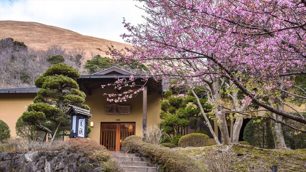 Um edifício japonês tradicional com entrada de madeira, degraus de pedra e cerejeiras em flor.