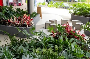 Área da propriedade