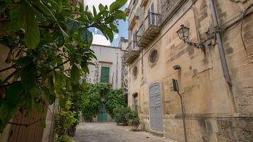 Rua de paralelepípedos estreita, ladeada por edifícios históricos com persianas verdes e um vaso de planta.
