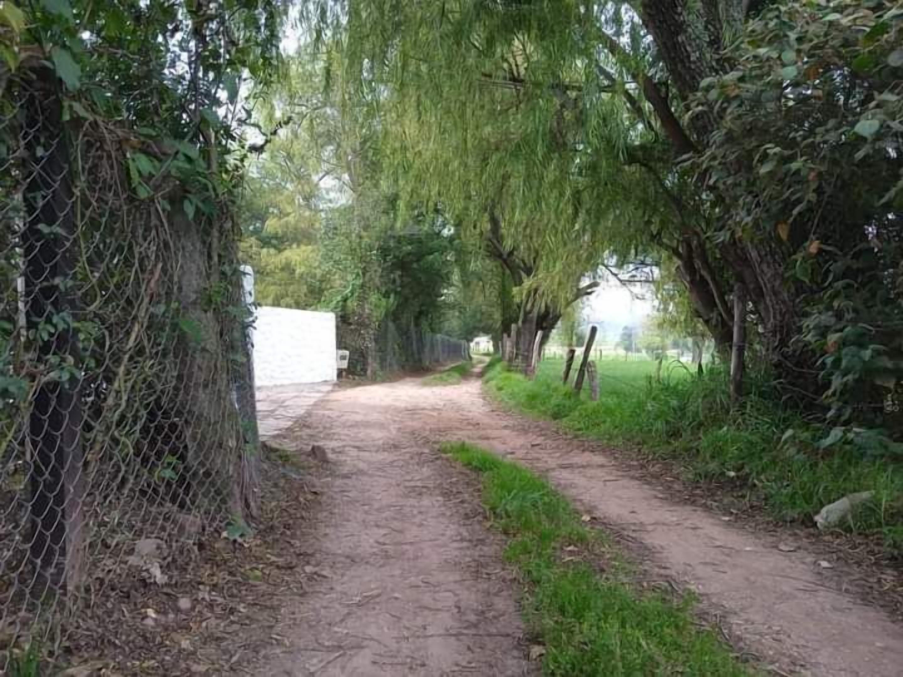 Uma trilha de terra acompanhada por árvores e uma cerca de arame.