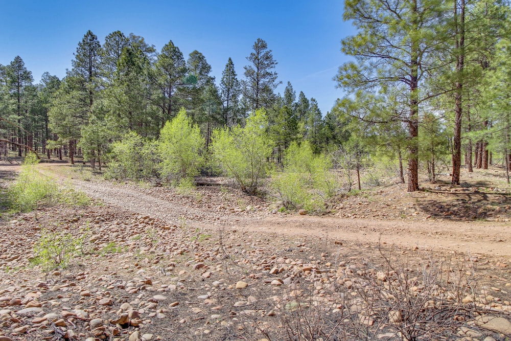 Deck & Atv Trail Access: Quiet Cabin In Show Low - Arizona