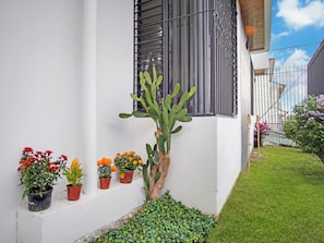 Terraço/pátio
