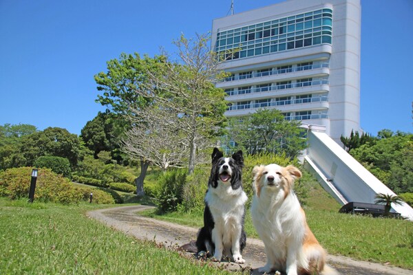 Nanki Shirahama Wan Wan Paradise Hotel - Tanabe