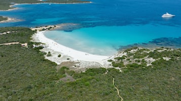 Apartamento | 3 quartos