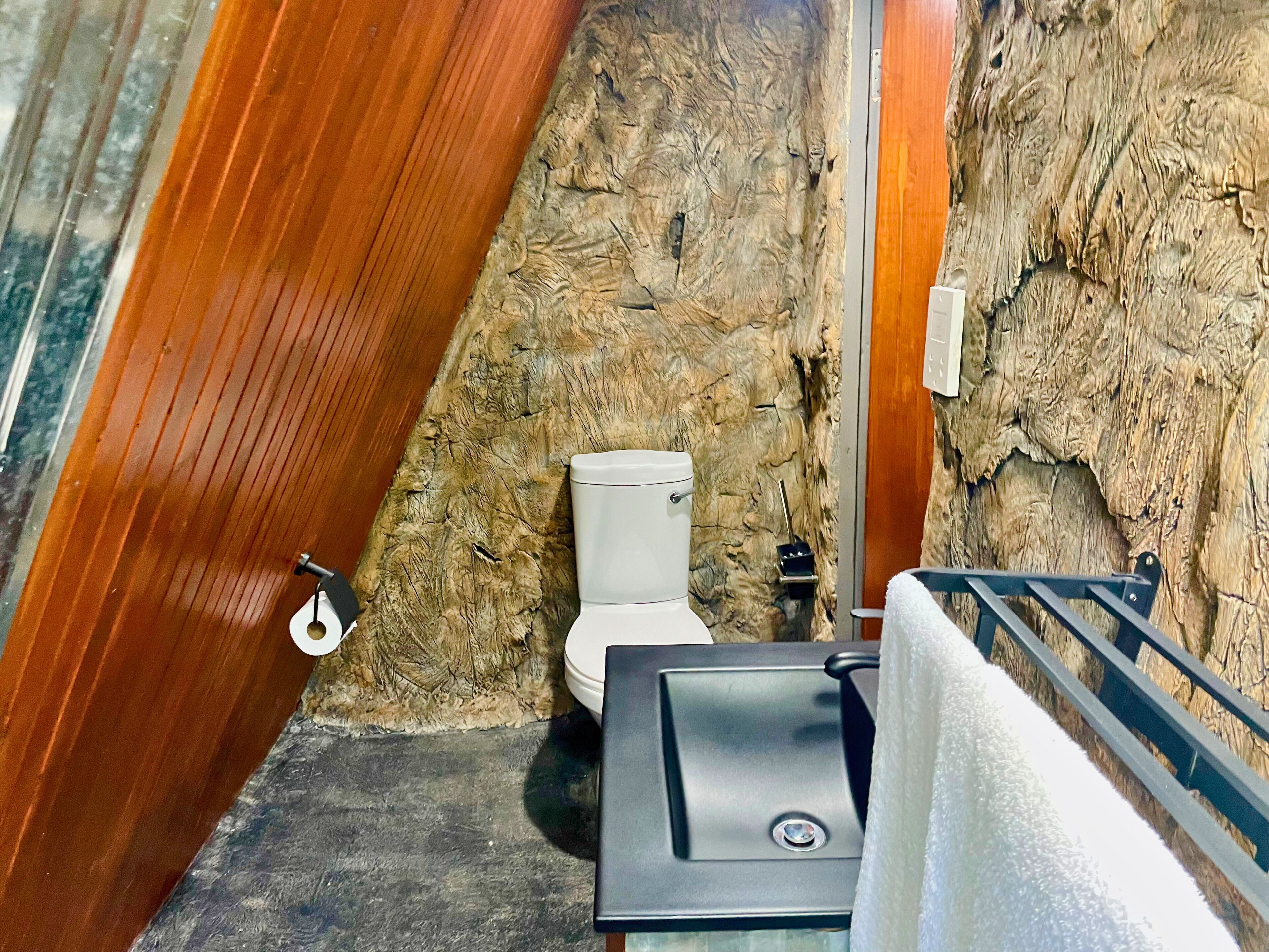 Um banheiro com parede de pedra rústica, porta de madeira, vaso sanitário branco e pia preta.