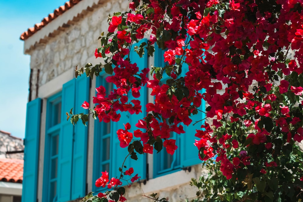 Casa Alegre Alaçatı - Çeşme