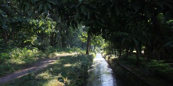 Atividades para crianças