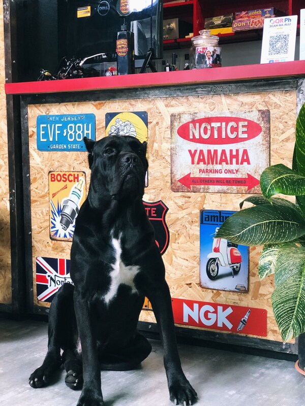 Cafe Moto Hostel - Puerto Princesa