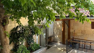 Jardim