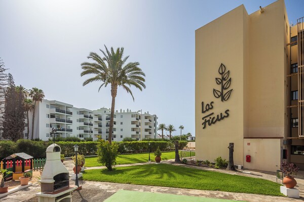 Apartamento Los Ficus - Gran Canaria