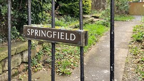 Um portão de metal com uma placa que diz 'SPRINGFIELD'.