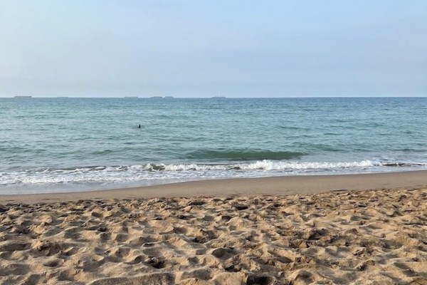 Uma praia privada, espreguiçadeiras, guarda-sóis de praia